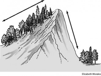 Gradient dictionary definition | gradient defined